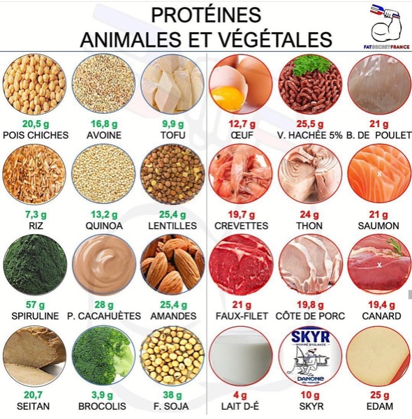 CONSEILS POUR UN PETIT DEJEUNER IDEAL : LES PROTEINES, PARTIE 3/3 CONSEILS POUR UN PETIT DEJEUNER IDEAL : LES PROTEINES, PARTIE 3/3